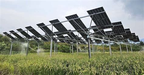 농사 지으면서 발전 수익 얻는다…‘영농형 태양광 본격 도입