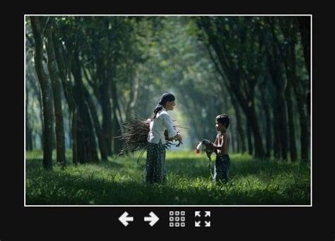 stylish and responsive image gallery plugin with jquery and css3 s