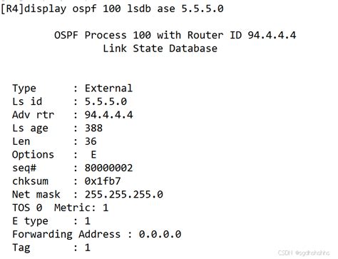 Ospf Lsa Router Lsa超长 Csdn博客