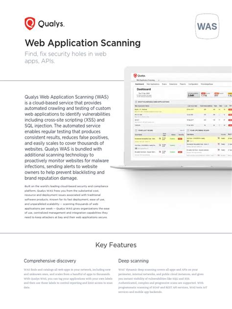 Web Application Scanning Datasheet Pdf Cloud Computing Vulnerability Computing