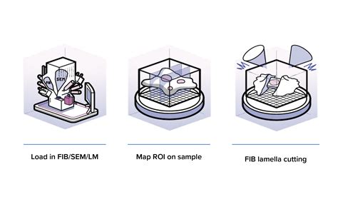 Using Integrated Fluorescence Light Microscopy To Improve The Cryo