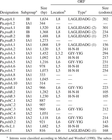 Group I Introns In Pseudendoclonium Cpdna Download Table