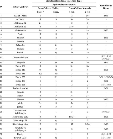 Evaluation Of Resistance To Stem Rust And Identification Of Sr Genes In Download Scientific