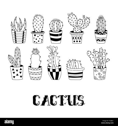 Cute Hand Drawn Vector Cactuses In Flower Pots Stock Vector Image And Art