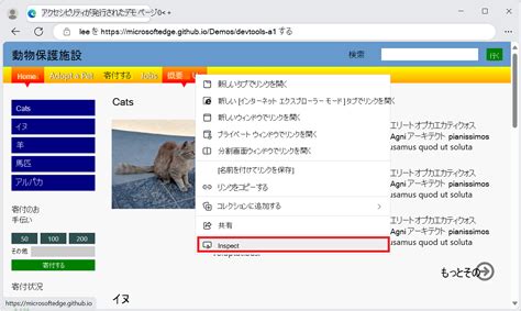 Devtools の概要 Microsoft Edge Developer Documentation Microsoft Learn