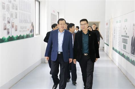 广西壮族自治区副主席李彬率队到和桂集团调研 集团动态 和行天下，成就你我