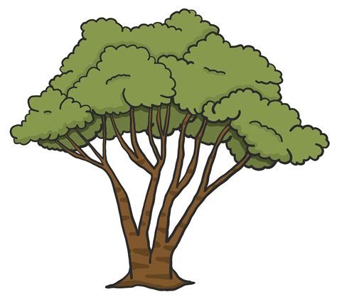 Tree Painting Hand Drawn Style PNG