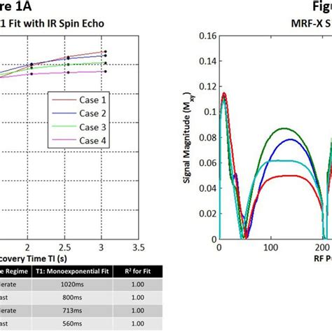 A Monoexponential T1 Values Fit From A Conventional Spin Echo Inversion