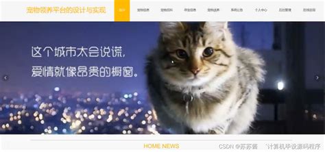 独有源码 Java Jsp宠物领养平台的设计与实现ddbvh规划与实现适合自己的毕业设计的策略 Csdn博客