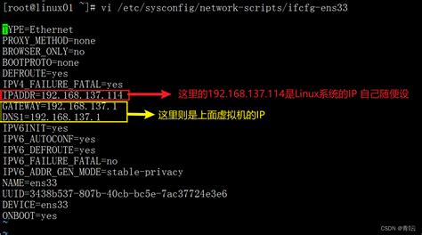 虚拟机中linux系统与主机之间通信的三种方式 源码巴士