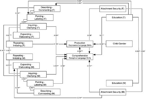 the path model predicting expressive and receptive language skills by