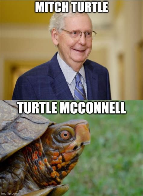 Mitch Turtle Mcconnell Imgflip