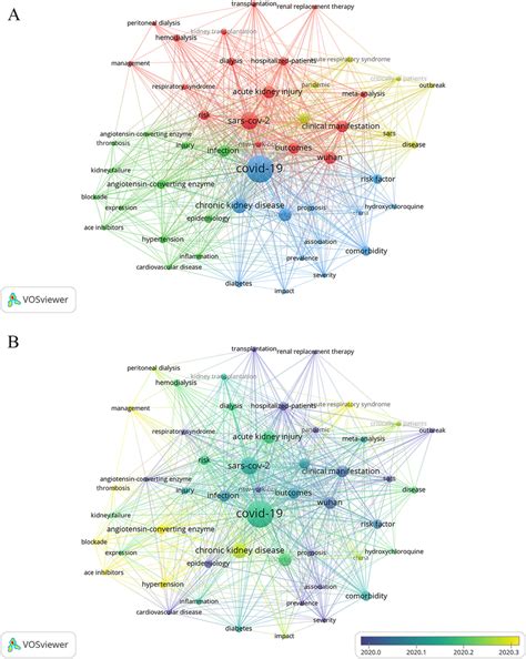 network visualization and overlap visualization of the top 50 high