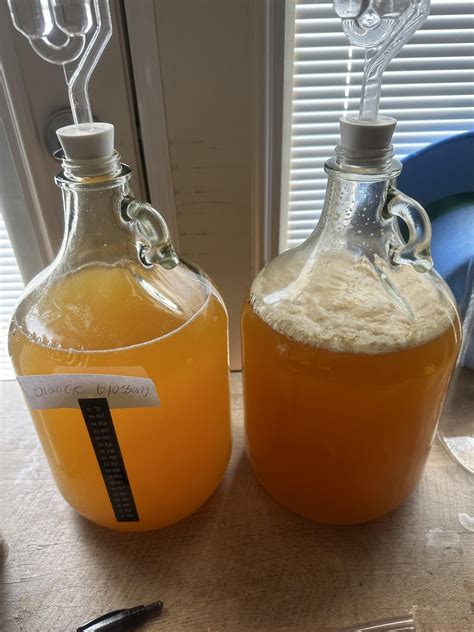 Two Different Honeys Rmead