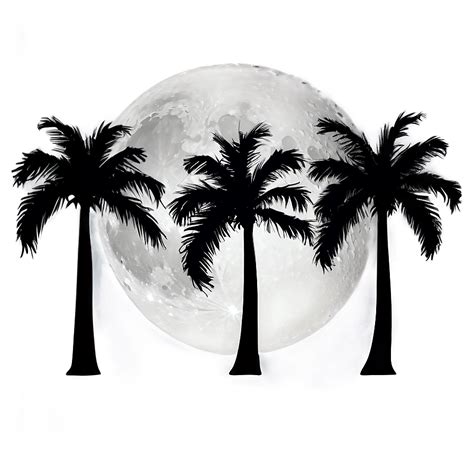 100 Palms Png Images