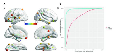 A The Brain Regions With Topological Attributes Selected By Lasso For Download Scientific