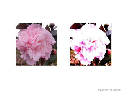 Matlab图像灰度调整——imadjust函数的使用 Csdn博客