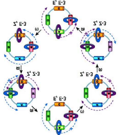 Stimuli Induced Unidirectional Rotation In A Four Station 3 Catenane Download Scientific