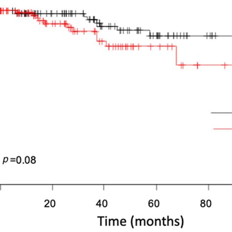 Recurrence Free Survival Between The Two Groups Download Scientific