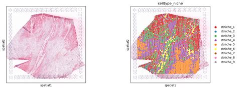 S4 Identify Ccc Patterns From Spatial Transcriptomics — Liana X Tensor