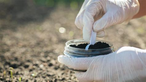 How Much Does A Soil Testing Cost Forbes Home