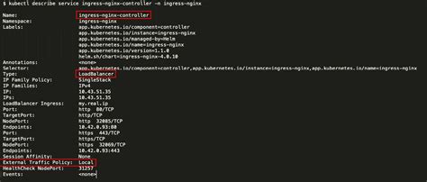 docker nginx ingress controller s load balancer is hiding the real