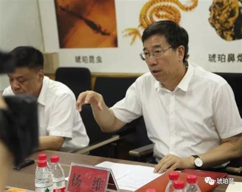 抚顺市领导莅临琥珀雕刻博物馆琥珀泉助力打造中国琥珀之都