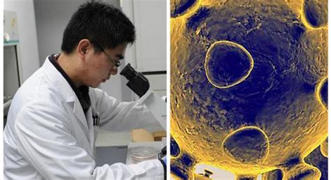 კორონავირუსმა მუტაცია განიცადა ამჟამად გავრცელებულია პირვანდელ ვირუსზე ბევრად აგრესიული ვირუსი