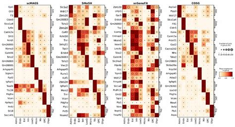 Dotplots Of The Marker Genes Found For The Kleshchevnikov Dataset Download Scientific Diagram