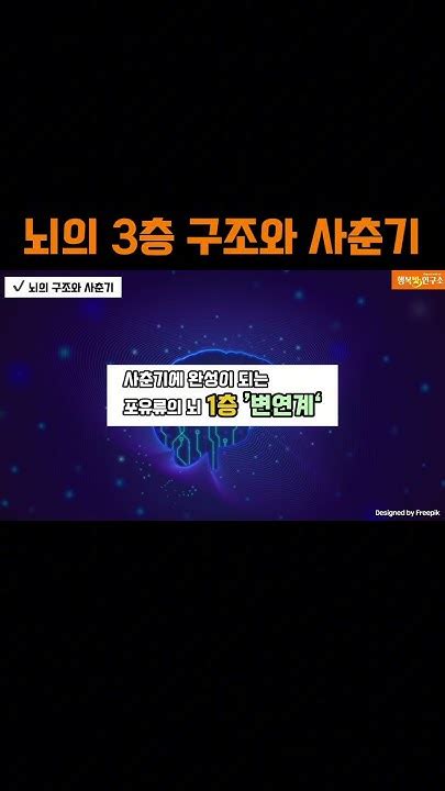 뇌의 3층 구조와 사춘기 청소년 중학생 중2병 뇌 사춘기 반항 부모님 자녀 학생 Youtube