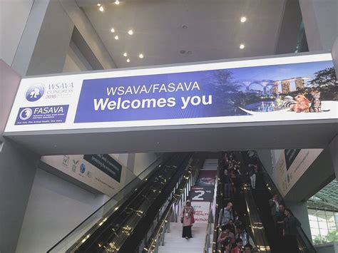 Look Vip Veterinarians Attend The Vets In Practice