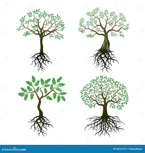 Set Of Trees And Roots Stock Illustration Illustration Of Decorative 56521675