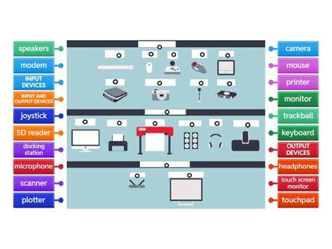 Input And Output Devices Labelled Diagram