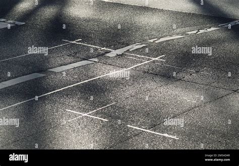 Plain Asphalt Surface In Grey With Rectangular White Lines And A Pattern Of Light And Shadows