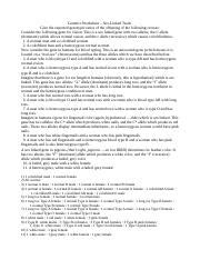 Sex Linked Worksheet With Answers Docx Genetics Worksheet Sex Linked Traits Give The