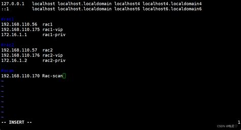oracle rac 19c集群搭建指南：实现高可用、高性能的数据库集群（超详细） oracle高可用集群部署 csdn博客