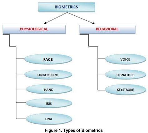 PDF DCT Discrete Cosine Transform Coefficient Based Iris Recognition System Semantic Scholar