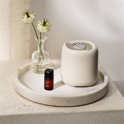 Canopy Humidifiers Shower Heads And Diffusers For Beauty And Wellness
