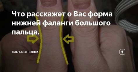 Что расскажет о Вас форма нижней фаланги большого пальца Ольга Межнякова Дзен