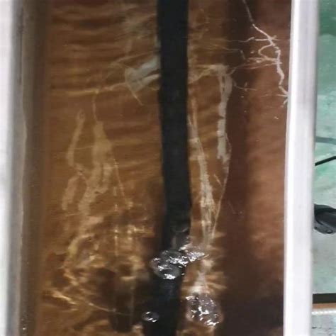 0810 All Bubble Object Detection Dataset By Shrinand Aggarwal