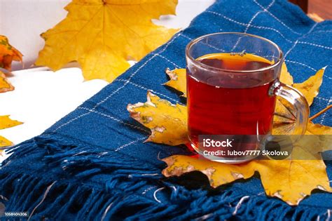 담요와 흰색 배경에 잎 차 한잔 텍스트에 대 한 장소입니다 가 편안 함 3위에 대한 스톡 사진 및 기타 이미지 3위 가을