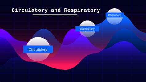 Body Systems Project 2023 Maha Arshad And Sidra Ahmed By Maha Arshad On Prezi