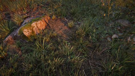 Book Of The Dead Is A First Person Interactive Story Showing The