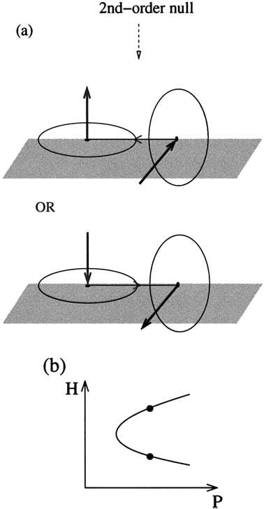 A The Structure Of The Nulls Created In A Local Separator