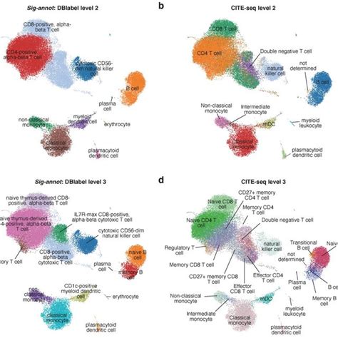Scdc Deconvolution Results Based On Simulated Bulk Rna Seq From Scdc