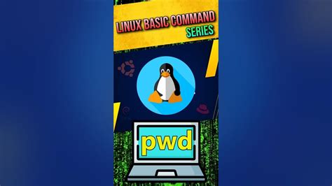 Pwd Command In Linux Know Your Working Directory Absolute Path Shorts Linux Linuxcommands