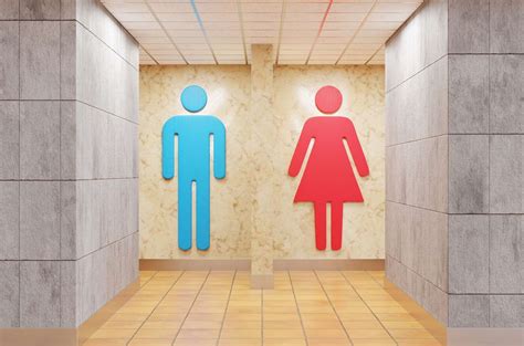 Single Sex Toilet Law For New Buildings Explained As Government Pushes For Change