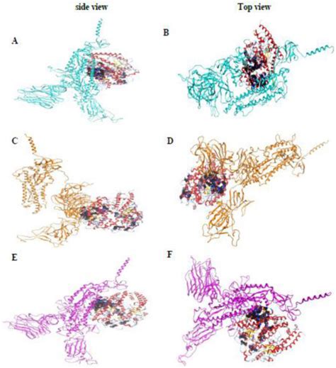 Pathogens An Open Access Journal From MDPI