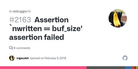 Assertion `nwritten Bufsize Assertion Failed · Issue 2163 · Rr