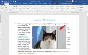 How To Resize An Image In Word OfficeBeginner